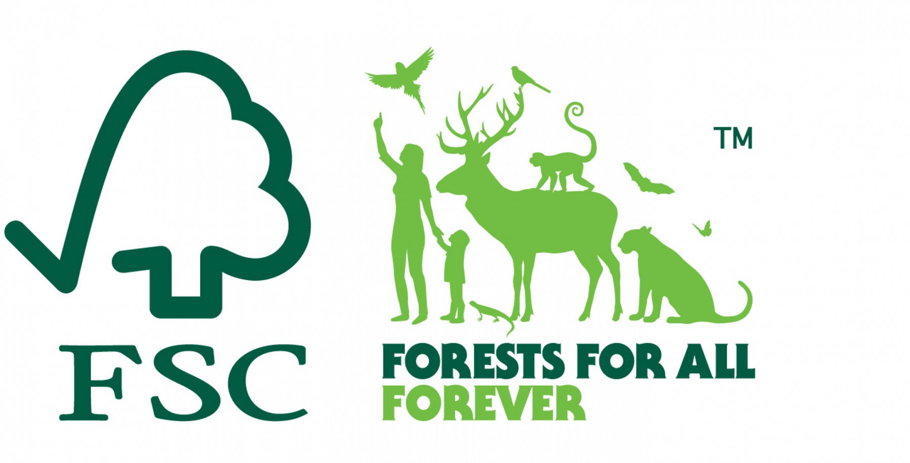 Why use FSC® certified products? - board24