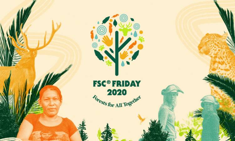 Celebrating 25 Years of FSC UK - board24