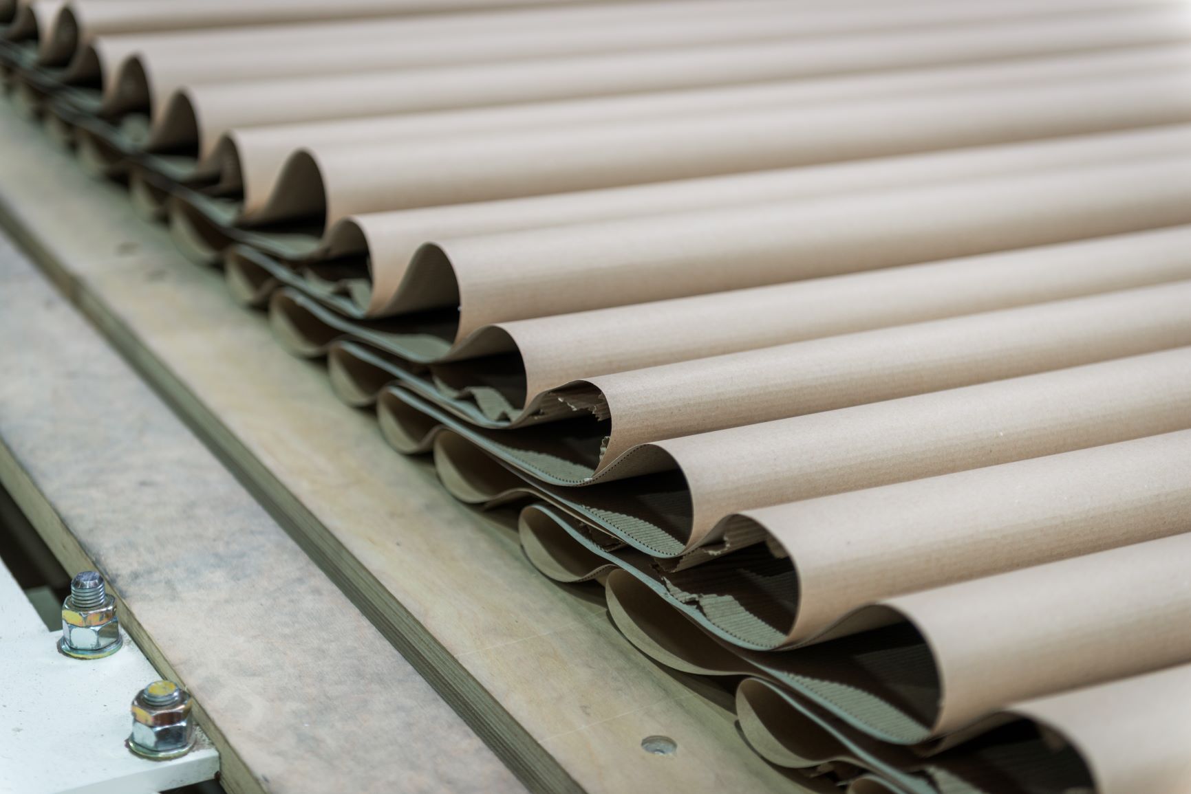 Why paper-based packaging is the future - board24